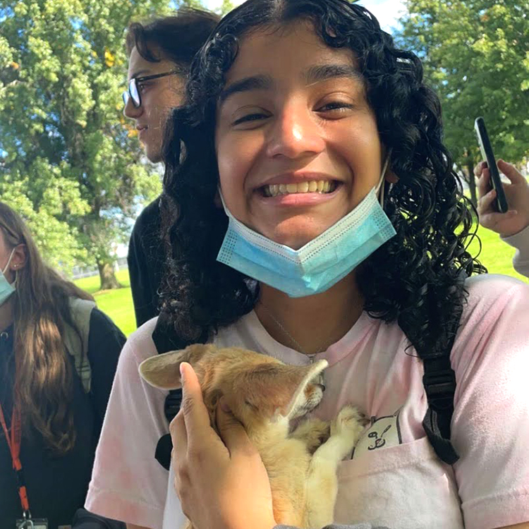 Orientation | Utica University