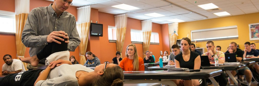 Physical Therapy Post-Professional Doctorate (online) | Utica University